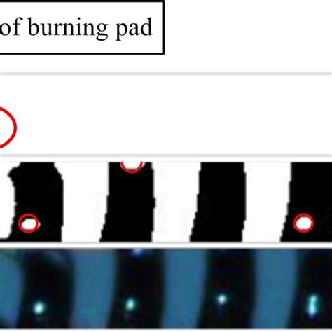 Reflection Area Detection And Veda Output Image A Non Defected Download Scientific Diagram