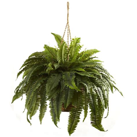 Double Giant Boston Fern Hanging Basket Nearly Natural Hanging