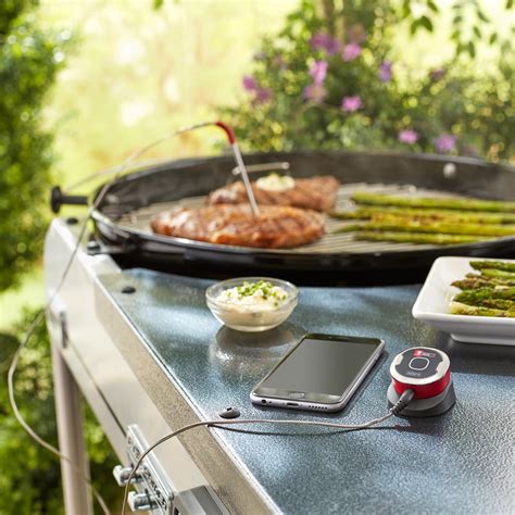 Weber iGrill Mini Bluetooth Thermometer 7220 | 100370931