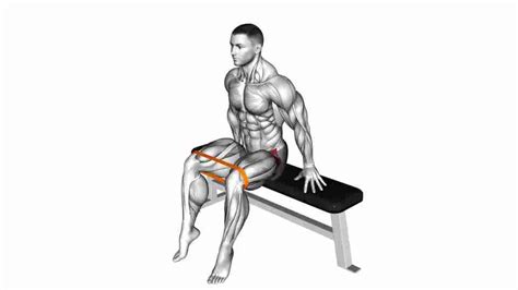 Resistance Band Seated Hip Abduction Video Guide Lyfta