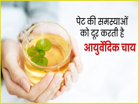 How To Make Pudina Tea Summer Drink Healthy Digestion Hindi News पेट