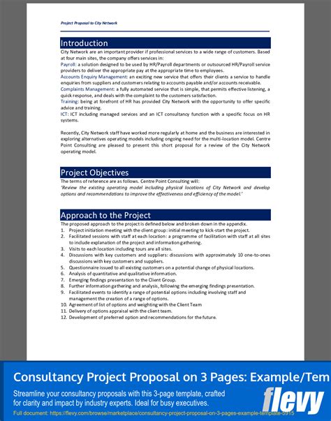 Consultancy Project Proposal On 3 Pages Example Template Word
