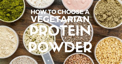 Vegetarian Protein Powder How To Choose One Lyzabeth Lopez