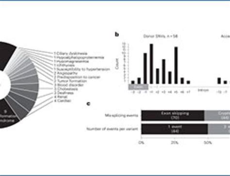 Class Splice Variant Annotation From Rna Seq Reads Rna Seq Blog