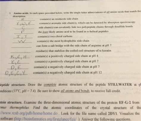 Solved Amino Acids In Each Space Provided Below Write The