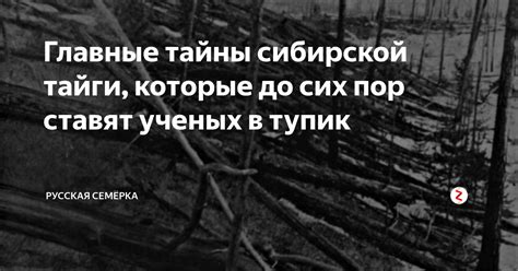 Главные тайны сибирской тайги которые до сих пор ставят ученых в тупик Русская Семёрка Дзен