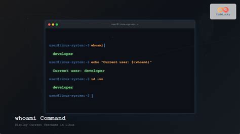 Who Command In Linux Complete Guide To Display Logged In Users Codelucky