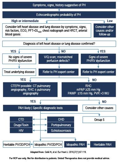 Diagnosing Pah Diagnositc Criteria