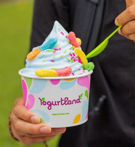 Yogurtland Cup The Market Place