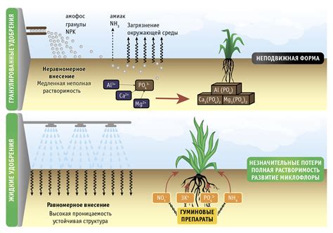 Виды удобрений особенности действия и применения