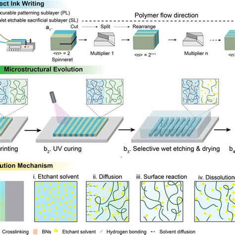 Fabrication Strategy For Micropatterns With Mdiw 3d Printing And Wet