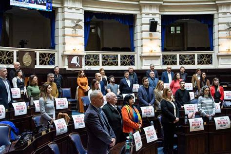 Diputados Bonaerenses Aprueban Proyecto Clave Para Combatir La