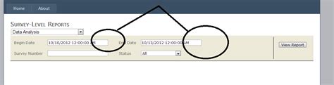 Reporting Services SSRS Date Picker Is Invisible In Google Chrome Not Working In Opera IE