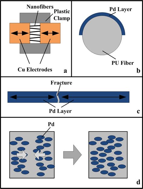 Sensor Design And Sensing Principle A Schematic Of Sensor B Download Scientific Diagram