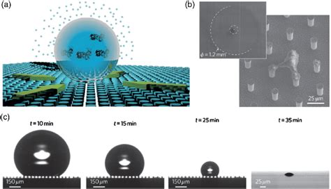A Schematic Of The Working Principle Of The Single Molecule Detection Download High