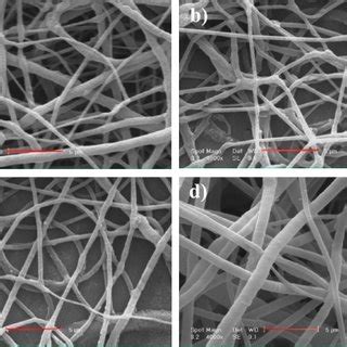 SEM images of NF1 a NF2 b NF3 c and NF4 d scale bar 5 µm Download Scientific