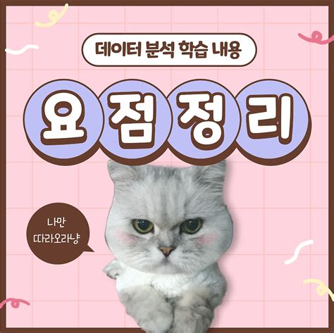 3 4 파이썬 시각화 라이브러리 Seaborn Matplotlib Pyplot