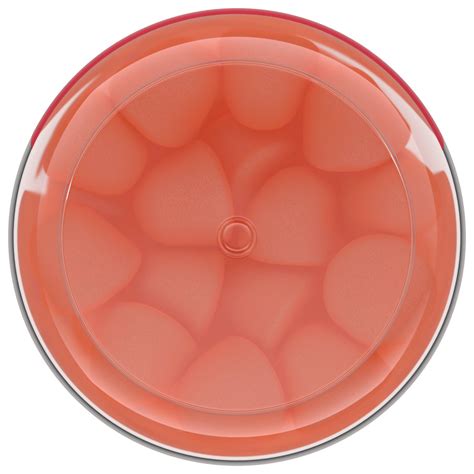 Centrum Morning Sickness Relief Vitamin Gummies Citrus 60ct 60 Ct
