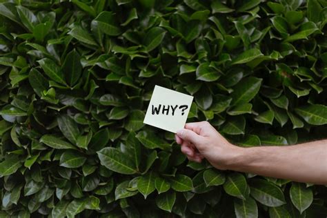 Why Is Everything Going Wrong Understanding The Causes And Finding
