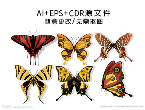 矢量手绘蝴蝶插画设计图昆虫生物世界设计图库昵图网