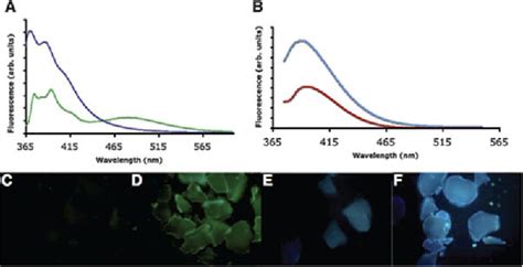 Figure 1 From Fluorescent Dna Based Enzyme Sensors Semantic Scholar