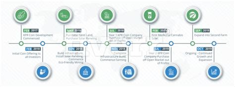 Create Best Timeline Infographics By Moon Monalisa