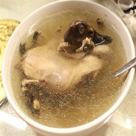 永春白鸭汤详细介绍 永春特产 特色谷