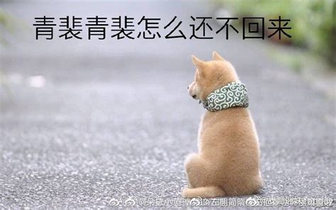 水千丞188男团表情包2 知乎