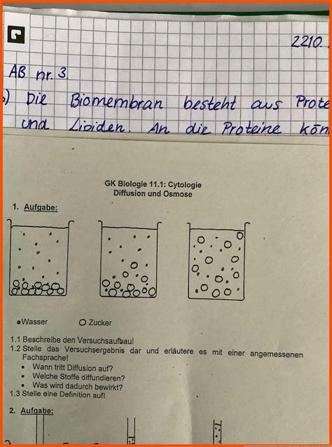 21 Diffusion Und Osmose Arbeitsblatt Allgemeine Arbeitsblätter
