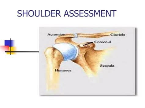 Ppt Shoulder Assessment Powerpoint Presentation Free Download Id