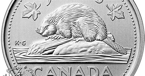 Why Does Everyone Hate Beavers Imgur