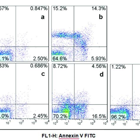 Schematic Representation Of The Most Common Fes Clusters Coordinated Download Scientific