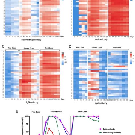 Anti Sars Cov 2 Antibody Response To The Vaccines For 32 Participants