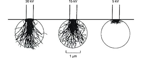Depth Of Beam Penetration Into The Material At Different Accelerating Download Scientific