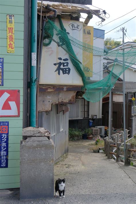 岡山県にて GANREF