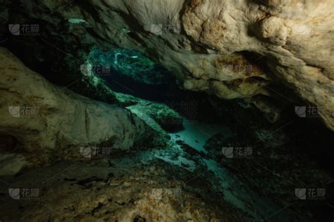 水下 洞穴 热带气候 佛罗里达 著名景点 湖 河流 热带树 岩石 户外