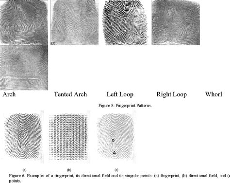 Figure 5 From Fingerprint Recognition Using Global And Local Structures
