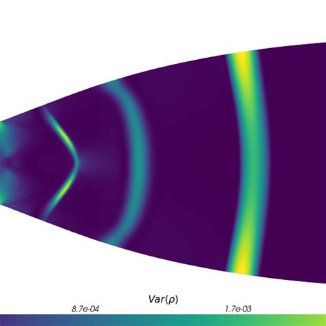 Reference Solution For Density Top Expected Value Bottom Variance
