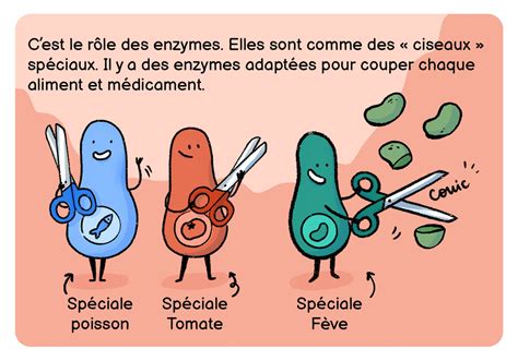 Sandra Muller Designer In Paris France Reedsy