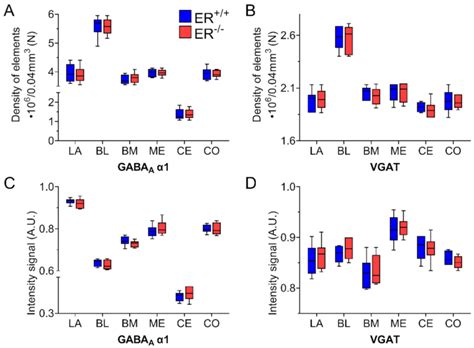 The Volume Density Elements And Signal Intensity Of Gaba Type A