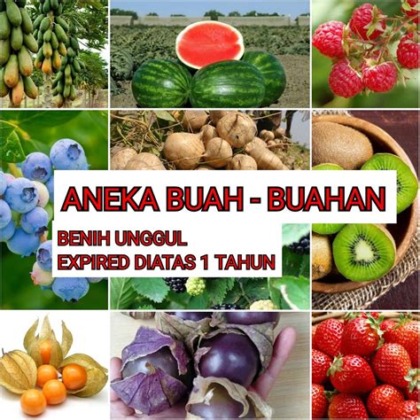 Jual Aneka Benih Buah Buahan Bibit Unggul Shopee Indonesia