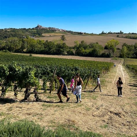 Caccia Al Tesoro In Vigna Hic Et Nunc
