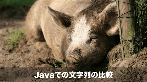 Java