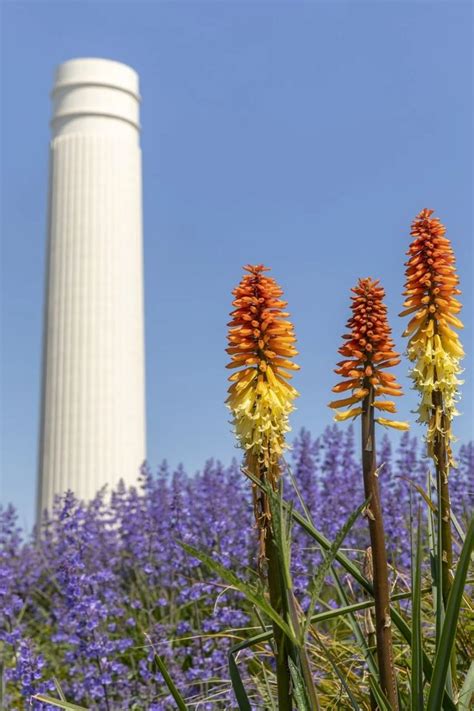 James Corner Landscapes Magical Lookout At Battersea Power Station