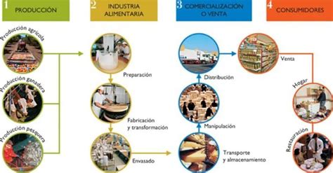 Sector Secundario Dibujo Para Colorear Imagui