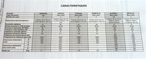Triangle Comète Ex Audiocostruzioni Hi Fi Online Sales Amplifiers