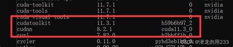 强化学习环境配置（使用anaconda安装cuda、cudnn、pytorch、gym）anaconda里面有cuda吗 Csdn博客