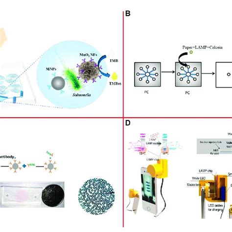 Summary Based On Detection Methods Of Foodborne Pathogenic Bacteria