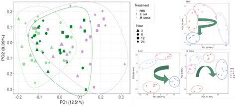 Relationship Between The Samples Left Graph Shows The Relationship Of Download Scientific